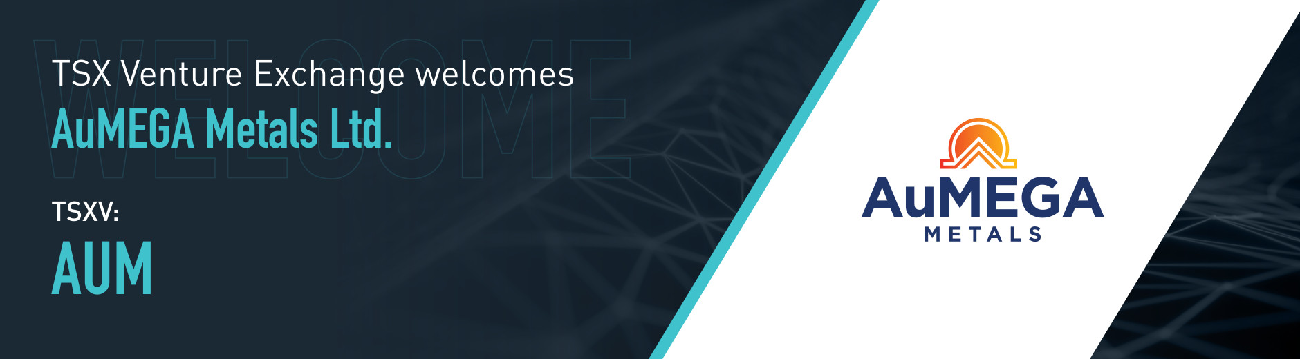 TMX Group of Companies