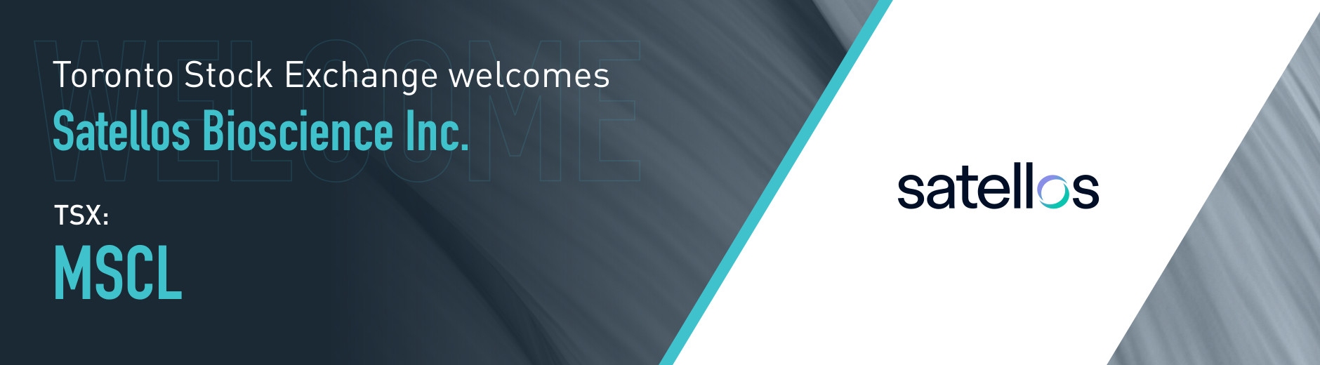 TMX Group of Companies