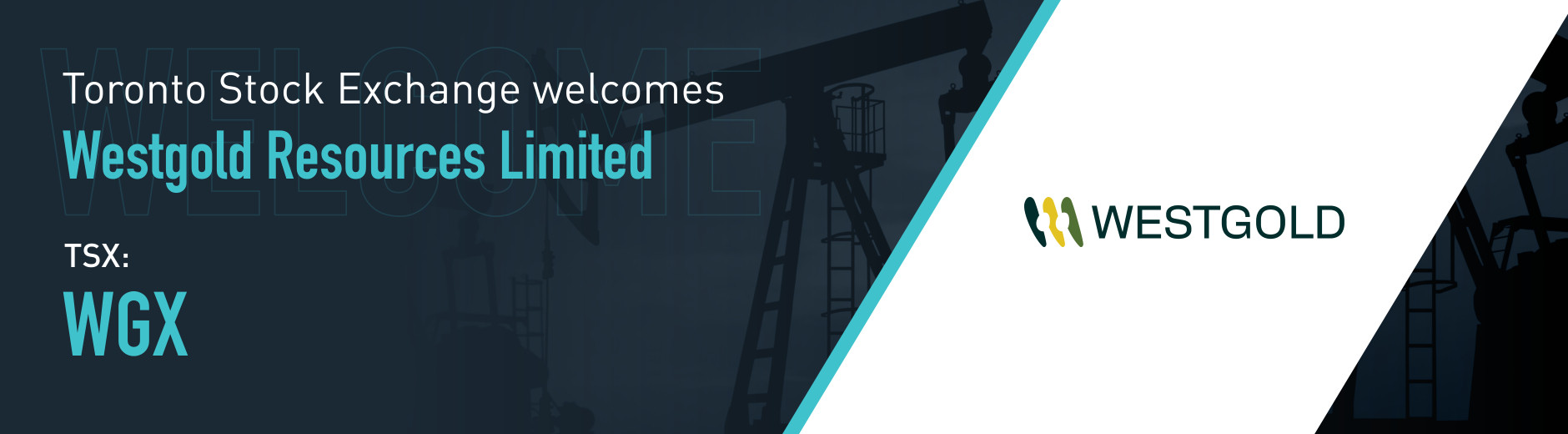 TMX Group of Companies